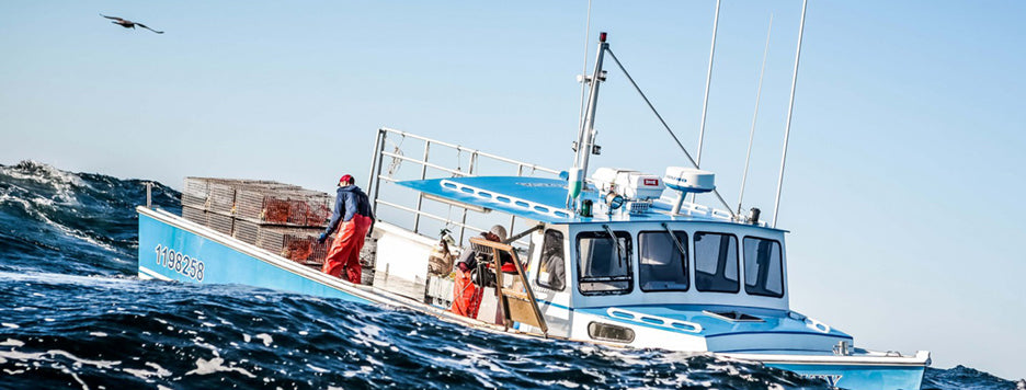 Cheena Seafood – Cheena Shop